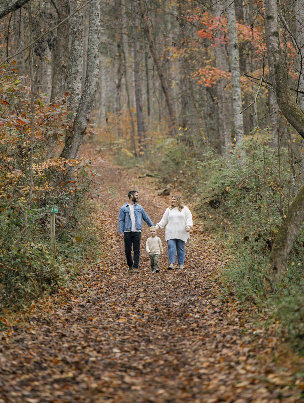 Fall in Jonesborough - Town of Jonesborough